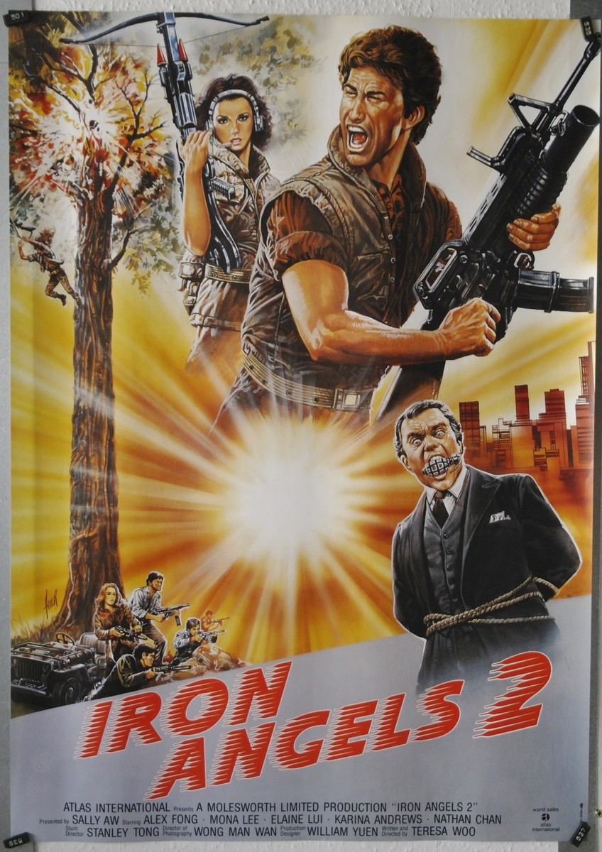 Iron Angels VF 53 Iron Angels , F 8 Crusader , Herpa New Model