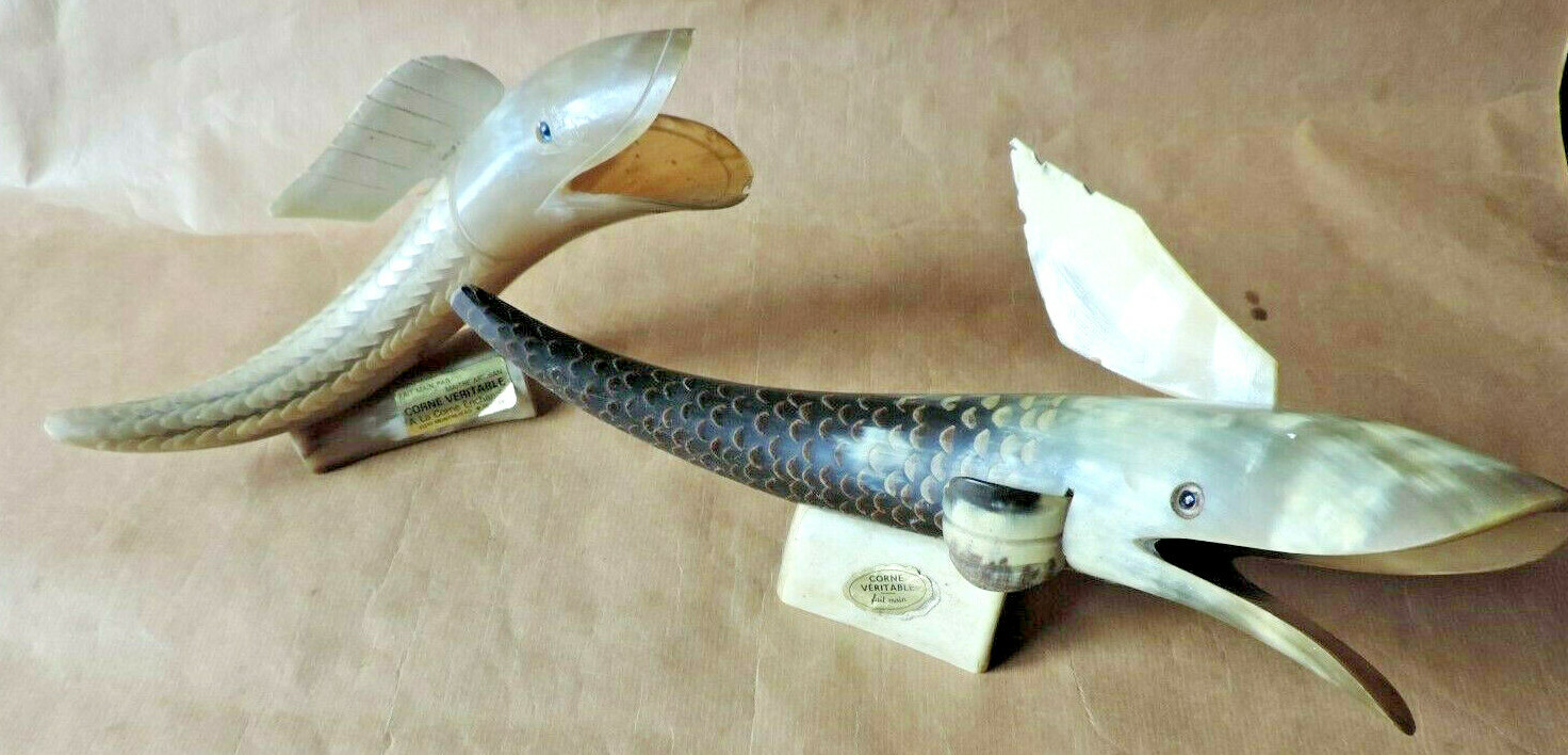 Poisson Corne d’occasion | Plus que 4 exemplaires à -75%