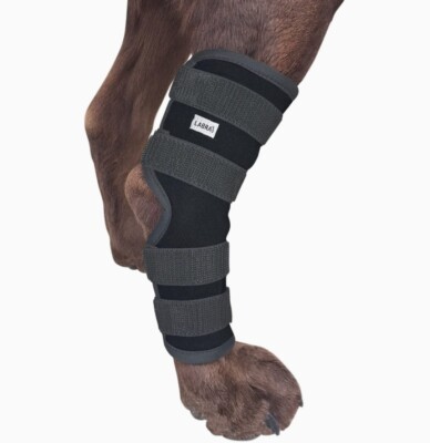 Dog Extra Supportive Canine Rear (Hind) Leg Hock Joint Compression Wrap ...