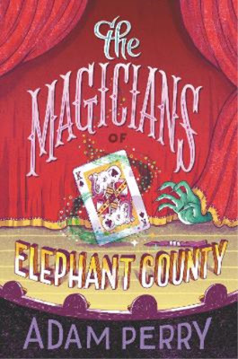 Adam Perry The Magicians of Elephant County (Hardback) 9780062795359 | eBay