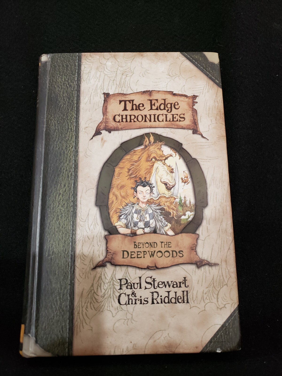 Edge Chronicles 1: Beyond the Deepwoods (The Edge Chronicles ...