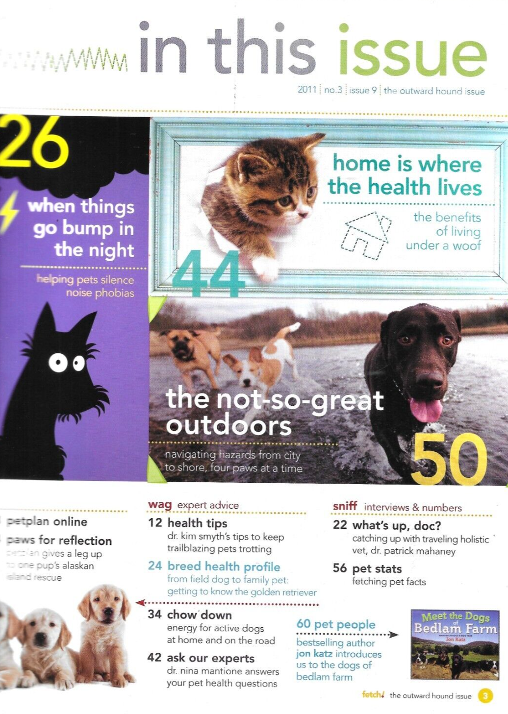 Fetch Magazine Outward Hound Issue Weather Noise and Phobias Outdoors ...