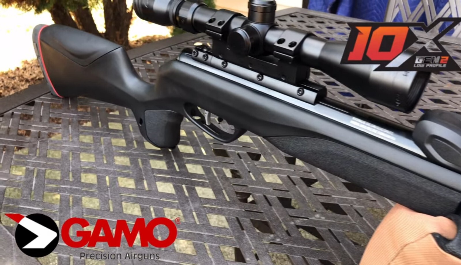 Gamo Swarm Maxxim 10X GEN2.177 Caliber 10 Shot Break Barrel Air Rifle ...