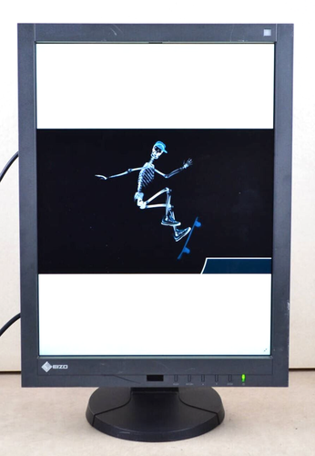 EIZO High Definition Monitor RadiForce RX240 21.3 type Brightness High ...