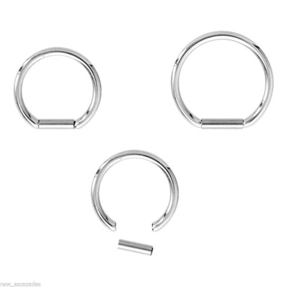 Segment Captive Lip Ring 16 Gauge 1/2" D Ring Steel * | eBay
