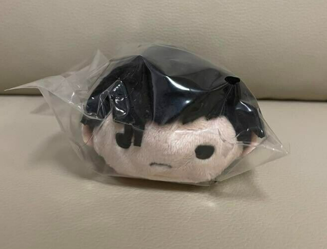 Jujutsu Kaisen Exhibition 2024 Hiromi Higuruma Mini Plush Noru Chara ...