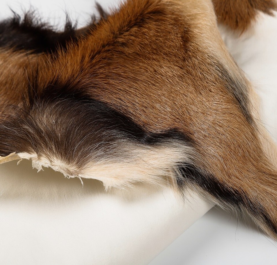 1pcs Real Goat Skin Fur Pelts Hide Goatskin Rug Leather Clothing ...