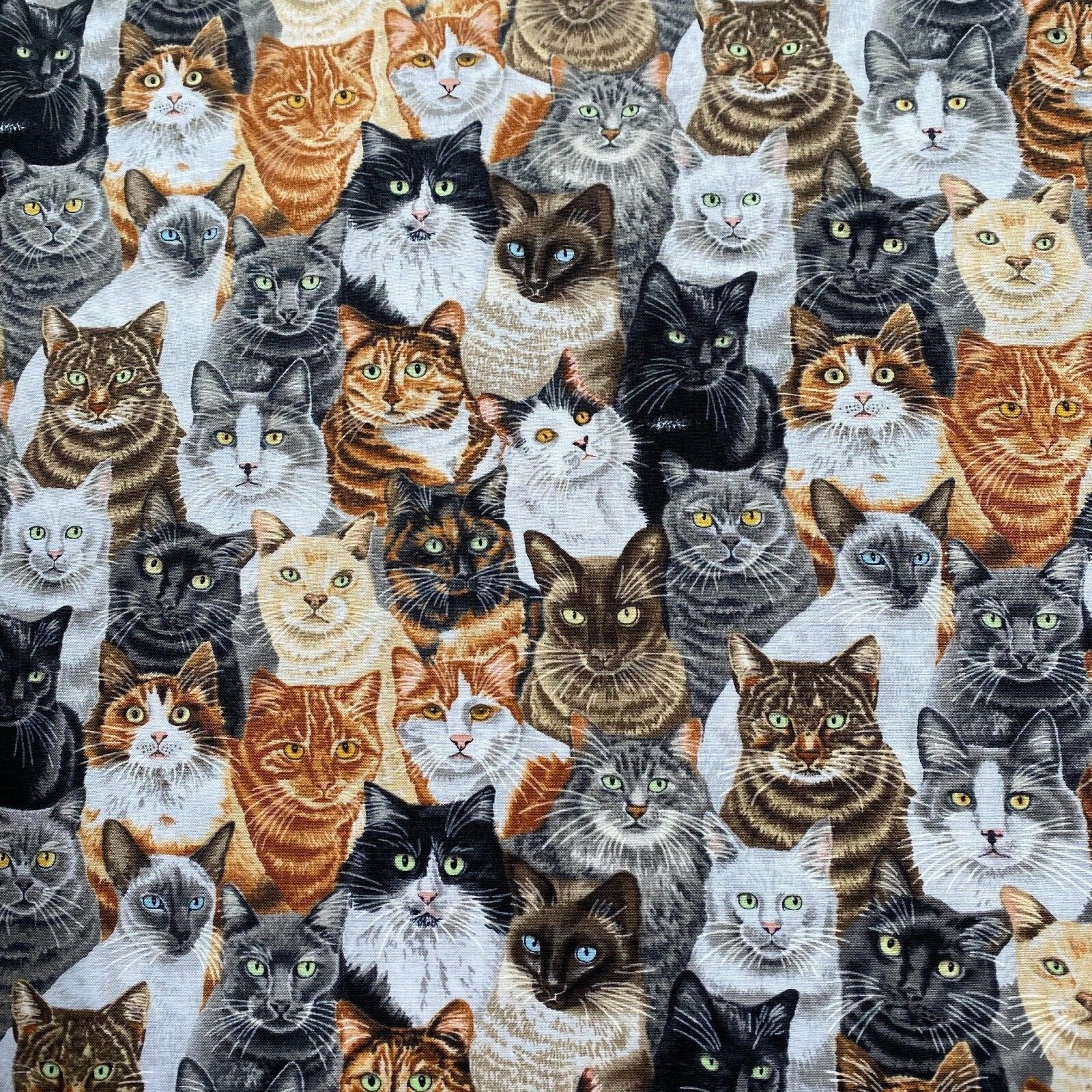 Kitty Cats Print 100% Craft Cotton Fabric for Pet Accessory Crafting ...