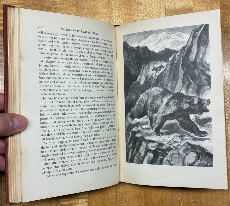 Wilderness Champion:Story of a Great Hound-Joseph Wharton Lippincott ...