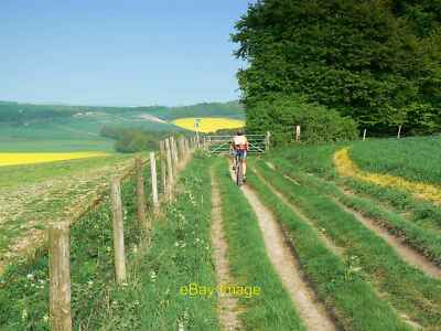 Photo 12x8 Byway to Sheepwalk Plantation, Sugar Hill Upper Upham There ...