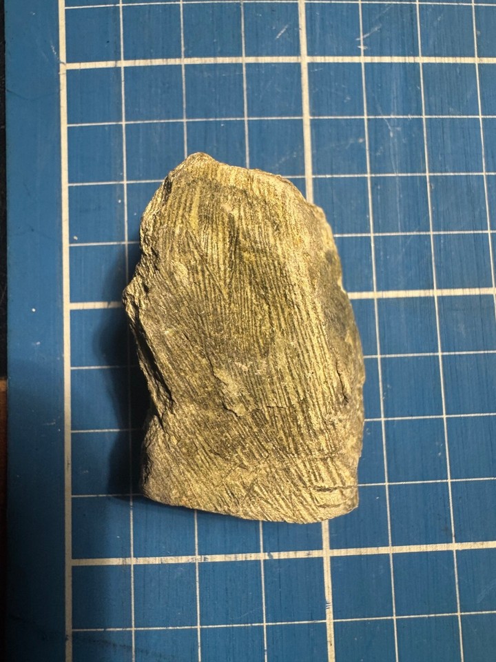 Komatiite. Ancient Mantle Rock, Central Goldfields, West Australia. | eBay