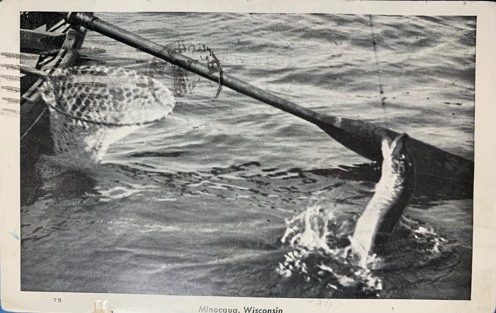 RPPC of fishing Northern Pike in Minocqua , Wisconsin - posted 1946 | eBay