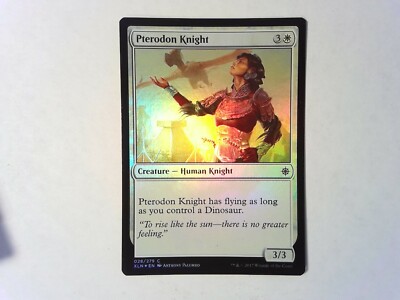 Foil Pterodon Knight Ixalan - Magic the Gathering Mtg White | eBay
