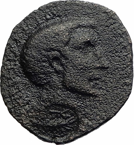 OCTAVIAN Augustus 31BC RARE Cilicia Authentic Ancient Roman Coin w OXEN ...