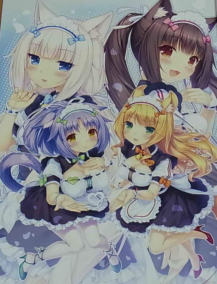 NEKO WORKs NEKOPARA Color Art Book NEKO PARA ART WORKS Vol.3 Sayori ...