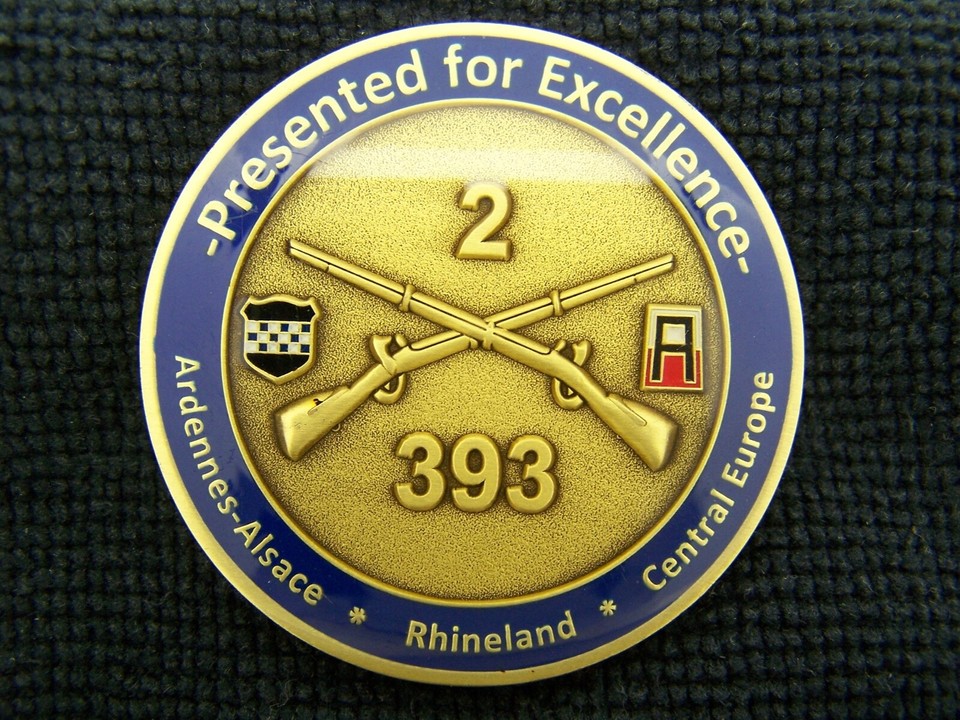 2nd Battalion 393rd Infantry Regiment Commander / CSM Challenge Coin | eBay
