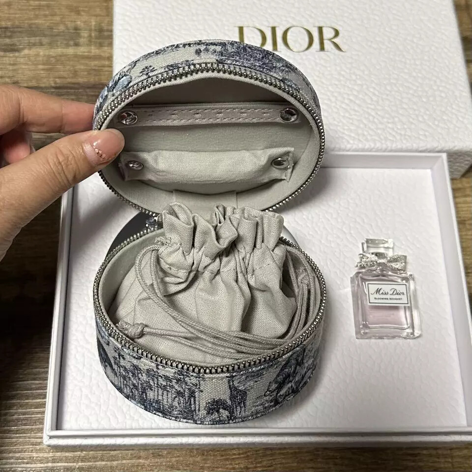 Christian Dior Platinum member welcome gift Jewelry case accessory ...