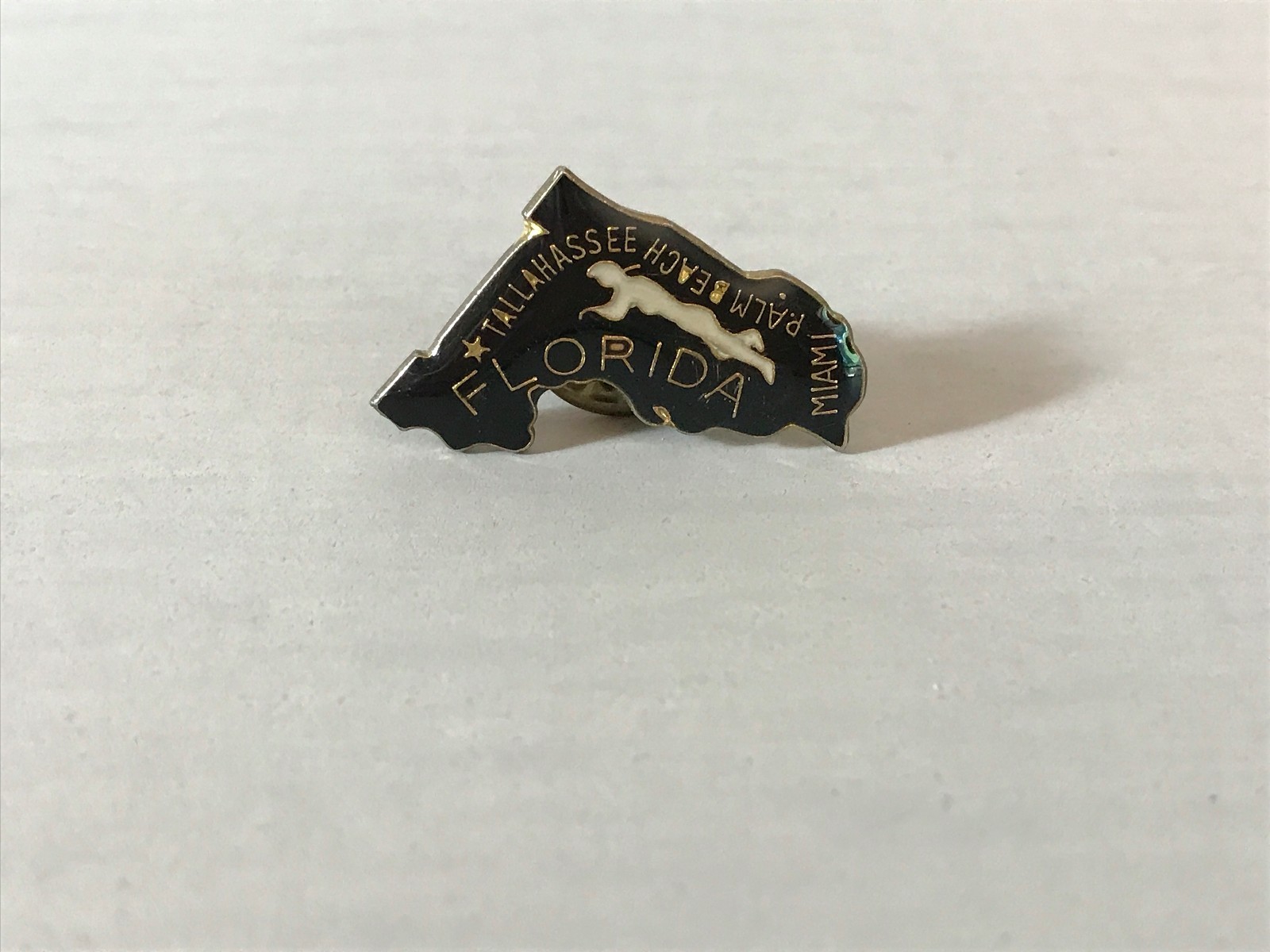 STATE OF FLORIDA PIN, state shaped pin, Florida cities pin, souvenir ...