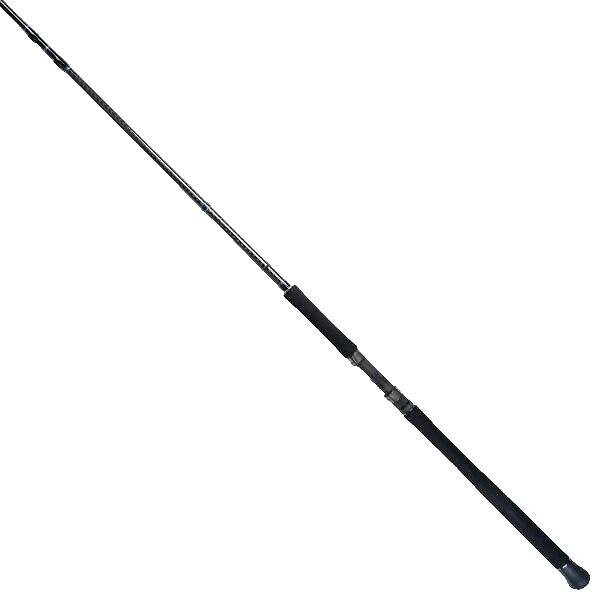 9 Feet Spinning Fishing Rods for sale | eBay