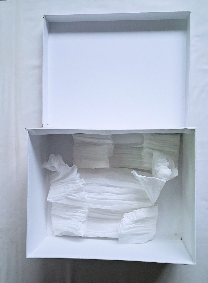 Dior Christian Dior Large Box + Pleated Tissue Paper | eBay UK