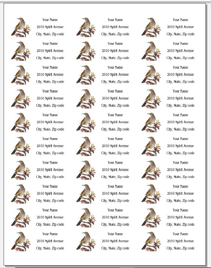 150 Brown Thrasher Georgia Bird Mailing Return Address Labels ...