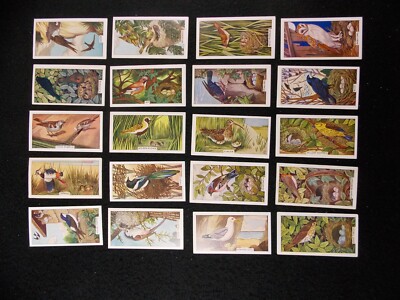 Sunlight Soap Trade Cards British Birds & Their Nests 1961 Complete Set ...