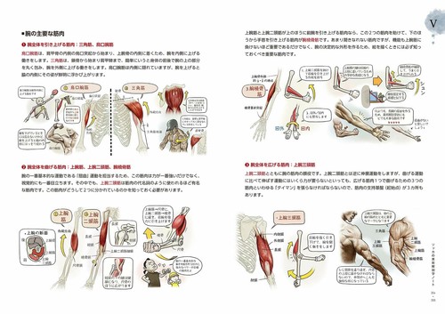 Stonehouse's Anatomy Note Socca Suk Jong Hyun ART Book "How to Draw ...