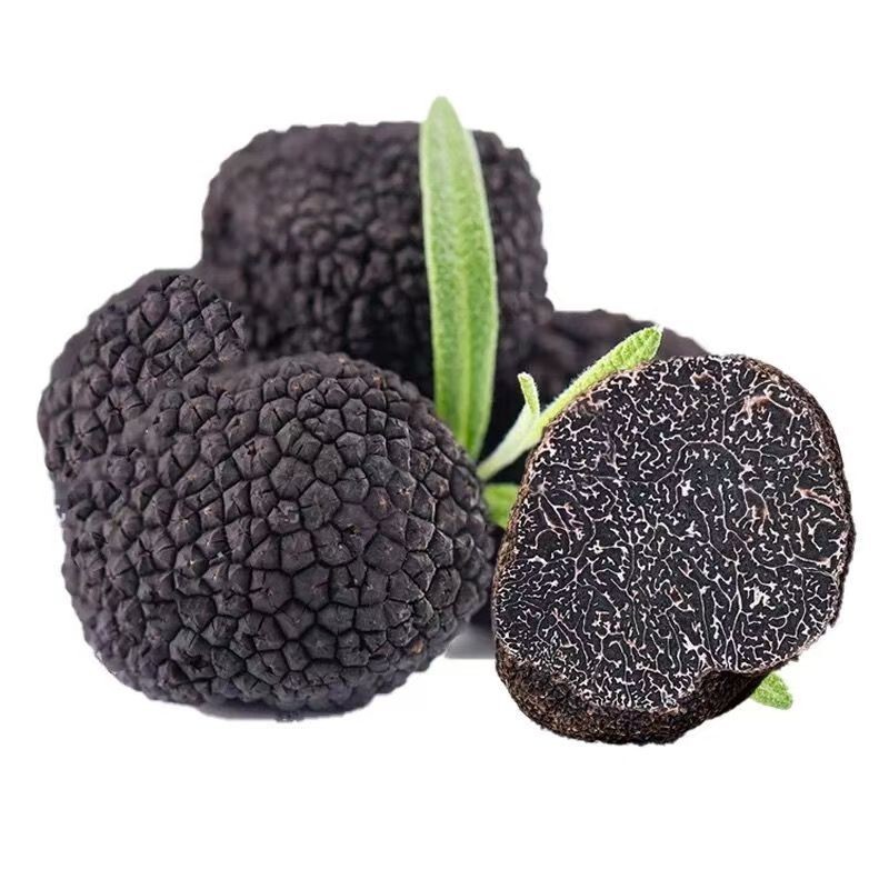 Premium Fresh Chinese Black Truffles: Unparalleled and Undried | eBay