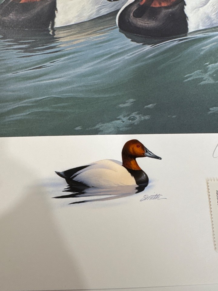 1986 South Carolina Duck Stamp print, artist Remarque, mint stamp | eBay
