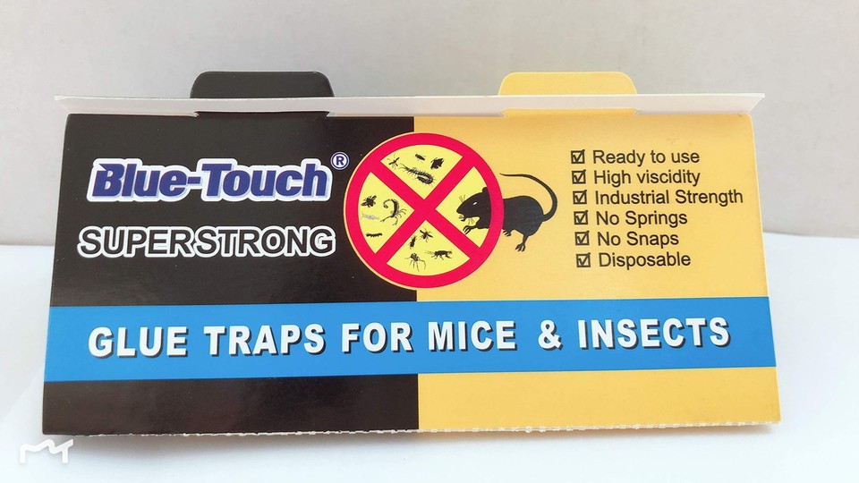 Blue-Touch Mouse Glue Traps, Peanut Butter Scented Best glue traps glue ...
