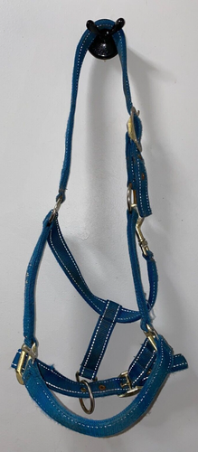 STUBBEN BLUE AVERAGE DOUBLE THICK NYLON HORSE HALTER | eBay