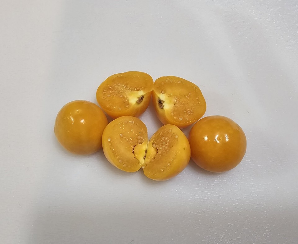 250+ Giant Poha Berry Seeds | Physalis Peruviana Golden Ground Cherry ...