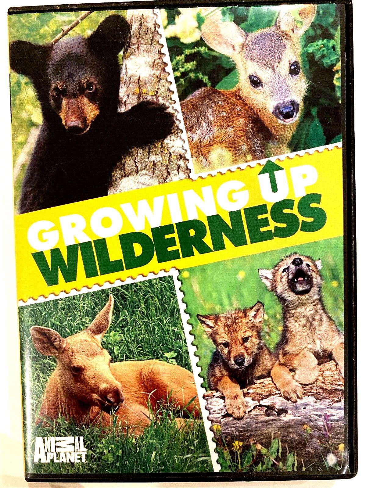 Animal Documentary Covers