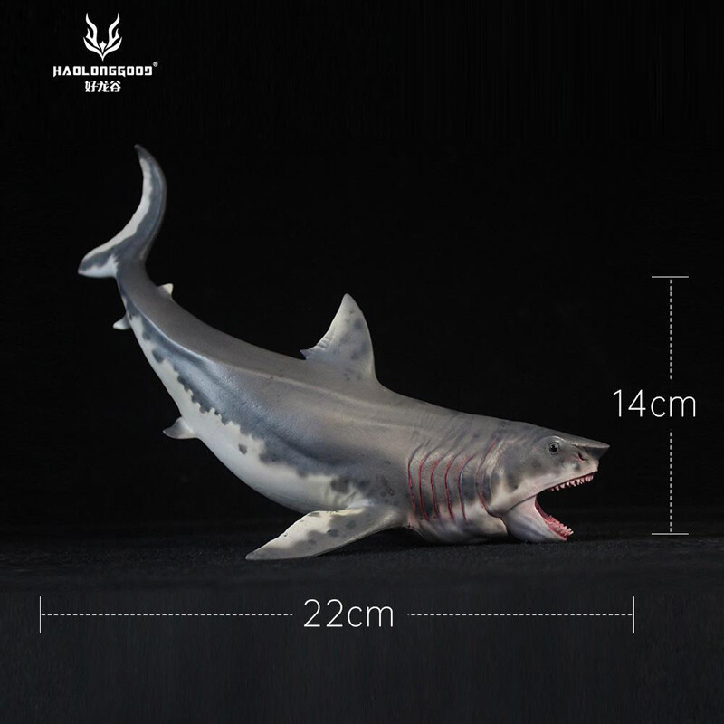 1:35 Megalodon Shark Statue Figure Model Action Figure Toy 22cm Lrngth ...