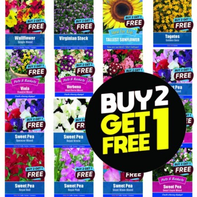 Flower Seeds UK Grow Your Own Outdoor Plants Borders | Over 79 ...