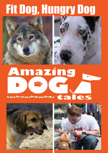 HUNGRY DOG AMAZING DOG TALES - FIT DOG [EDIZIONE: STATI UNITI] NEW DVD ...
