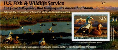 #RW92A 2025 -2026 Federal Duck Stamp - Spectacled Elder - MNH | eBay
