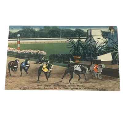 Postcard West Flagler Kennel Club Miami Linen B716 | eBay UK