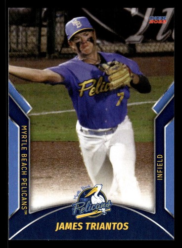 James Triantos 2022 Choice Myrtle Beach Pelicans #30 Myrtle Beach ...