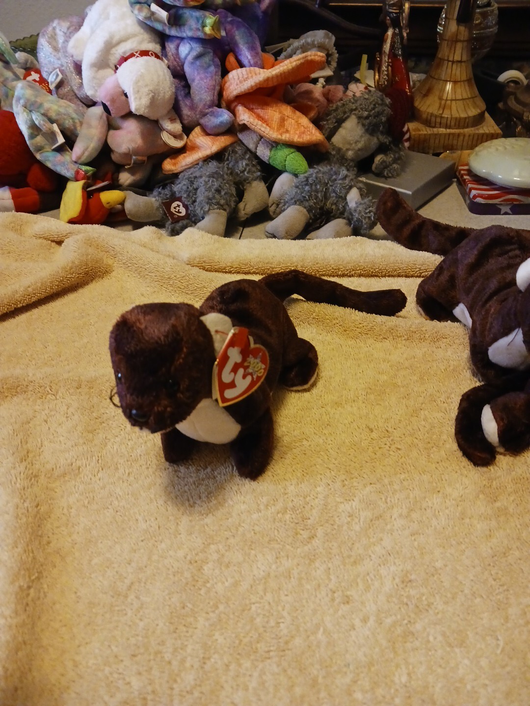 TY Beanie Baby - RUNNER the Ferret (7.5 inch) - MWMTs Stuffed Animal ...