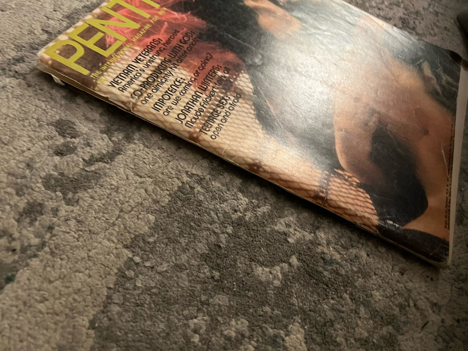 Penthouse Magazine April 1974 Vietnam Veterans Miss Nancy Sebastian | eBay