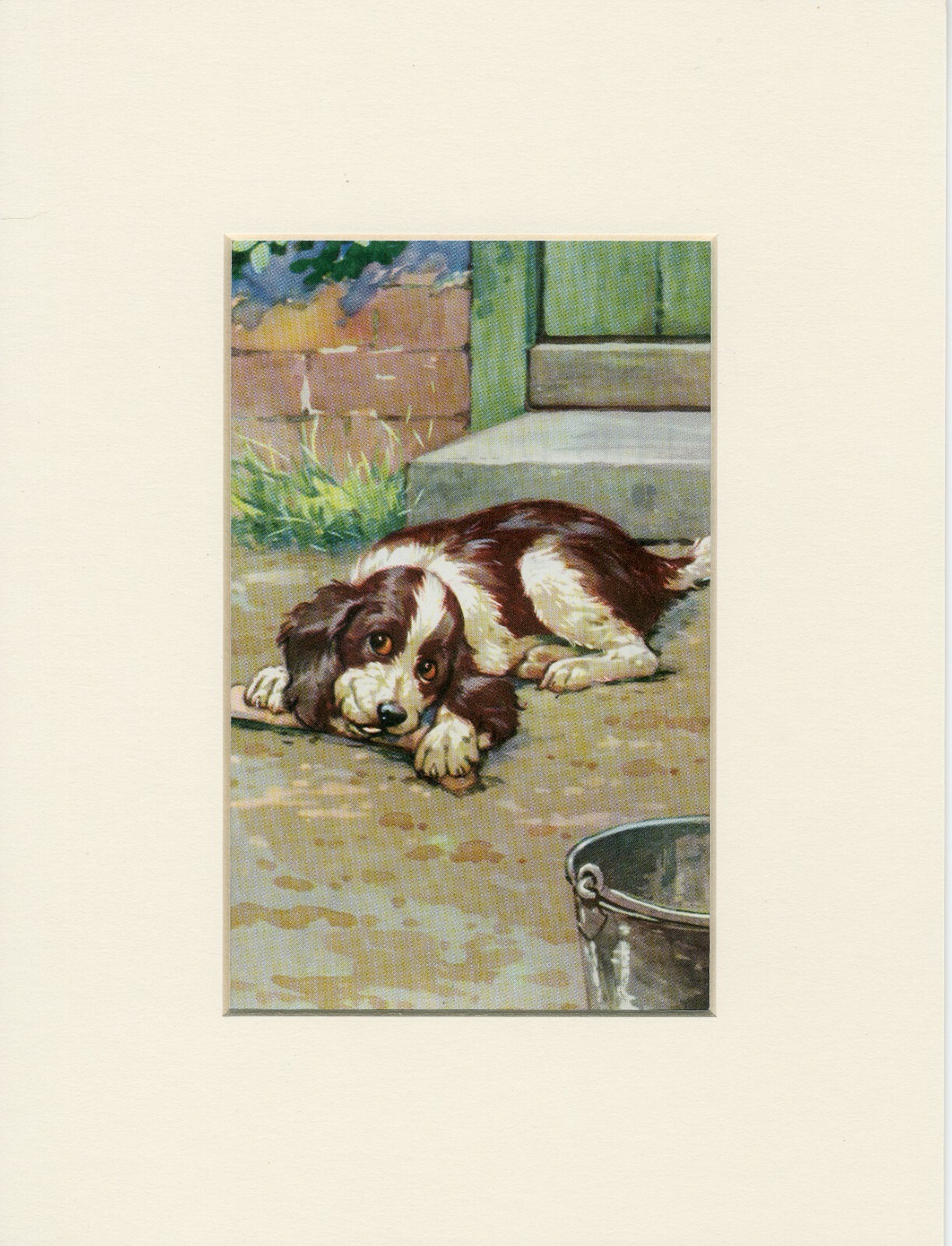 ENGLISH SPRINGER SPANIEL CHARMING 1950'S DOG ART PRINT READY MOUNTED | eBay