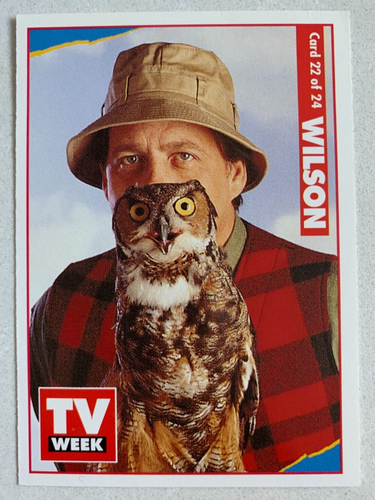 WILSON HOME IMPROVEMENT TV Show 1995 TV Week Card Collectible Card #22 ...
