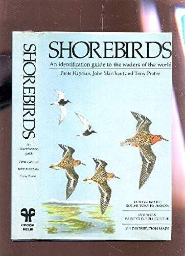 Shorebirds: An Identification Guide to the Waders of the World ...