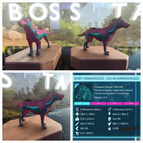 ARK ASCENDED PVE OFFICIAL PAIR BABY ARMADOGGO COTTON CANDY PC/XBOX/PS5 ...
