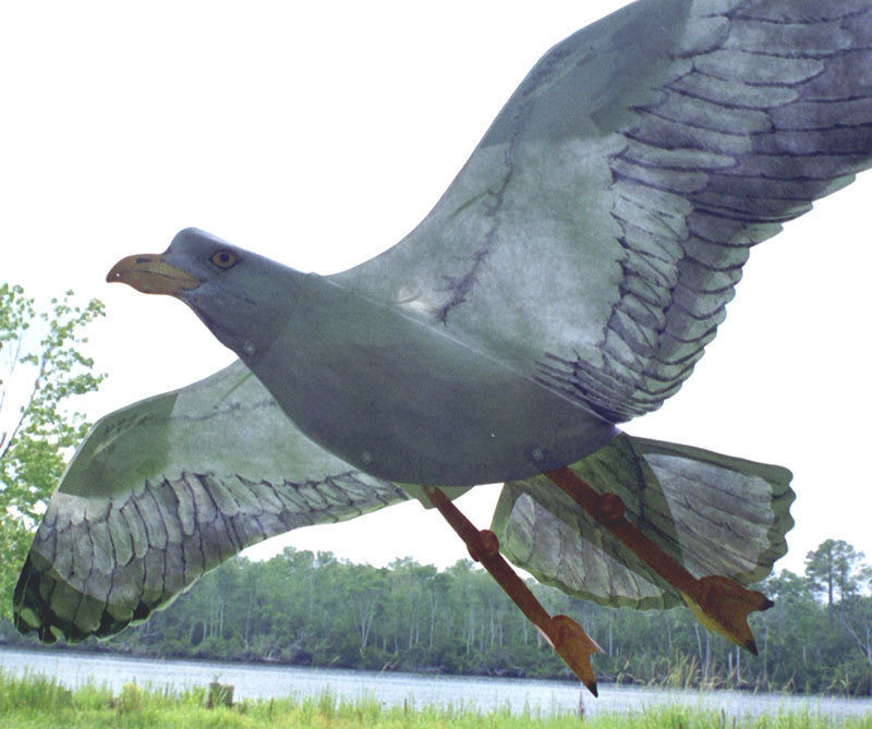 Jackite Seagull Kite / Windsock | eBay