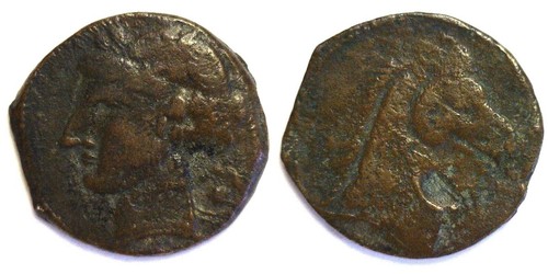 300-264 BC Carthage Zeugitana Head Of Tanit Horse Right Punic Letter ...