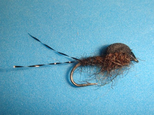 FLY FISHING FLIES - Black Foam-Case FLOATING NYMPH size #16 (6 pcs.) | eBay