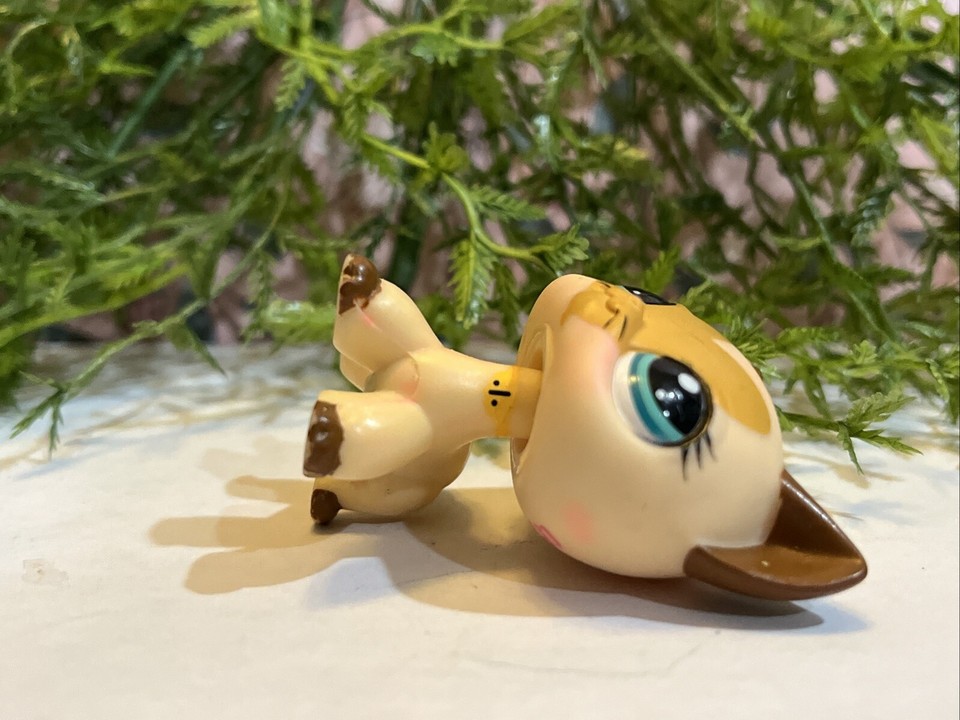 Littlest Pet Shop 3573 LPS Authentic Shorthair Siamese Kitty Cat Heart ...