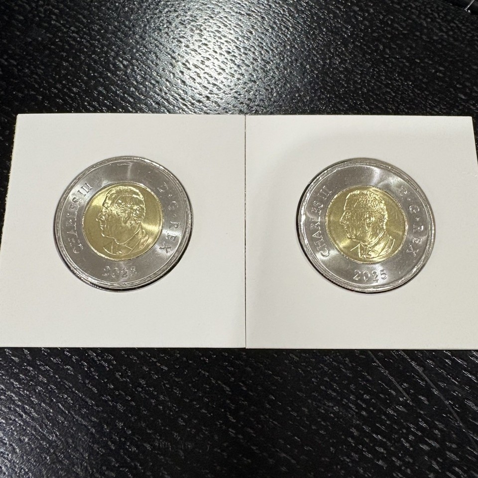 2025 Canadian 2 Toonie Set - Life And Are Of Daphne Odjig | eBay